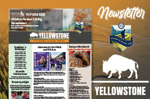January 2025 Newsletter | Wildcat Senior Living